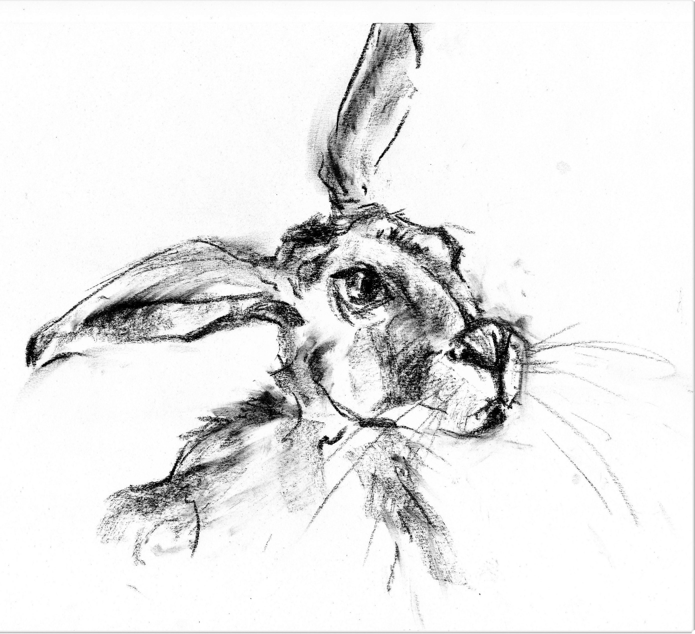 The Drawn Print with Karen Carter – City Arts Newbury
